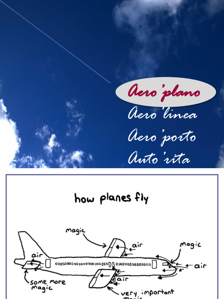 Aviation Physics & Aircraft Systems | PDF | Flight Control Surfaces | Transport