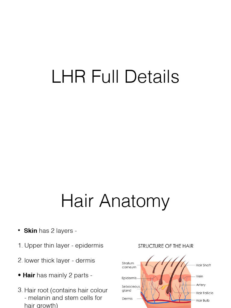 LHR Full Details - 1.03.21 | PDF | Hair | Human Head And Neck
