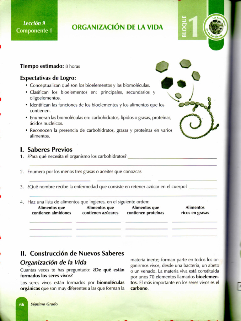 Leccion 9 Organizazcion de La Vida | PDF | Biomoléculas | Carbohidratos