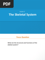 Natural & Man-Made Frame/shell Structures | PDF | Skeleton
