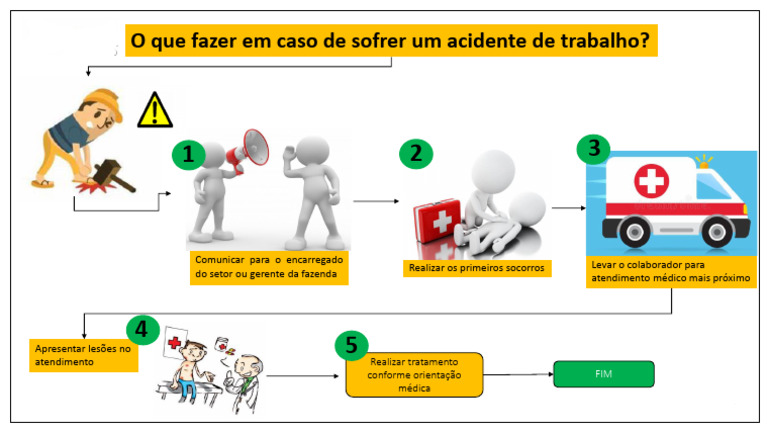 Fluxograma - Acidentes de Trabalho | PDF Fluxograma - Acidentes de Trabalho | PDF