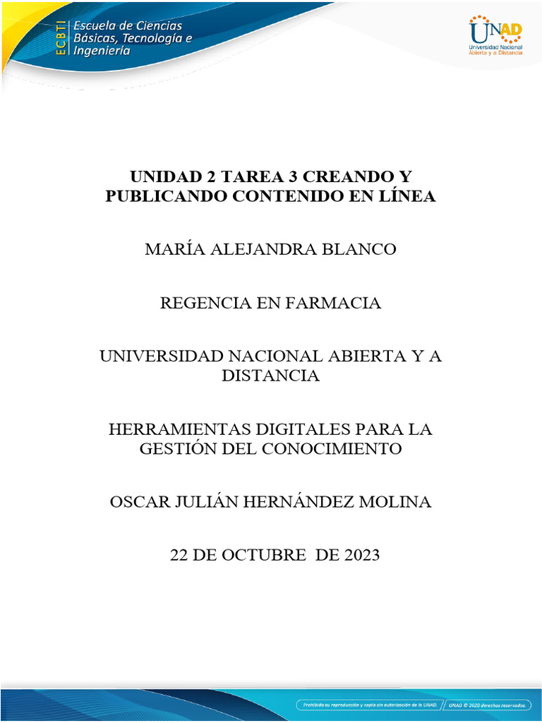Formato de Entrega | PDF | Internet | Comunicación