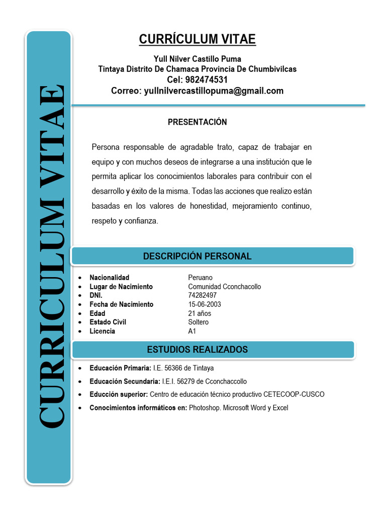Yull Nilver Castillo Puma-01 | PDF