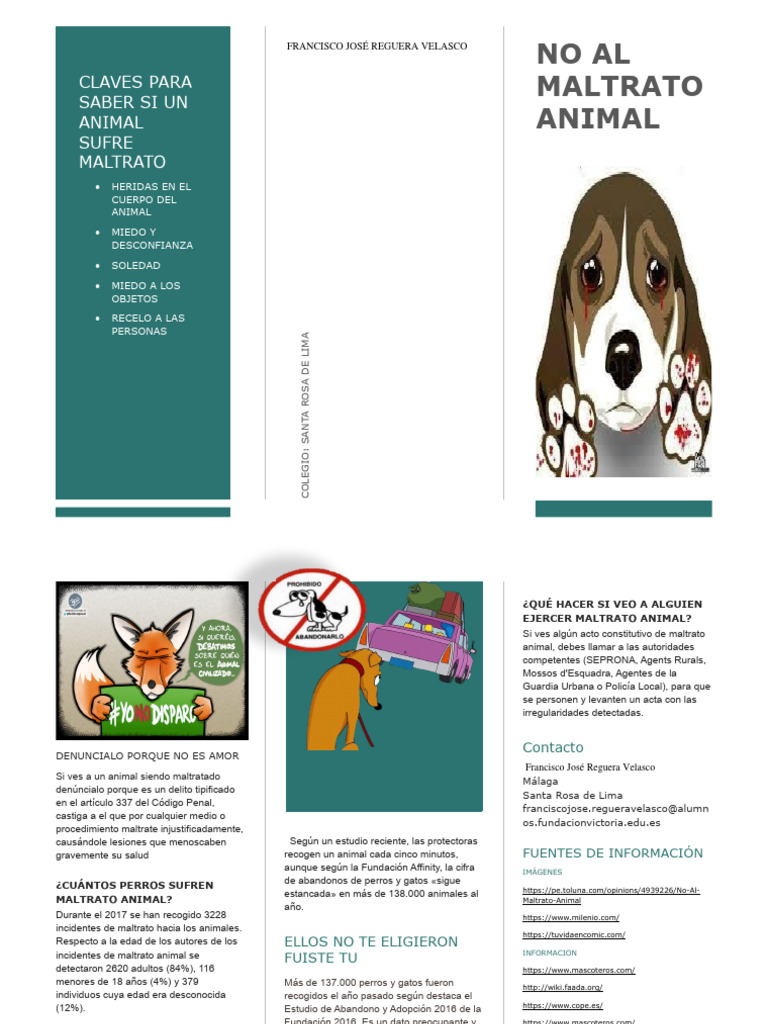 Folleto Contra El Maltrato Animal Pdf Mala Conducta Violencia