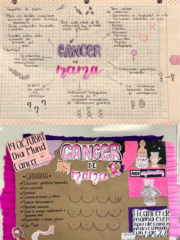 Actividad 1 C3 | PDF