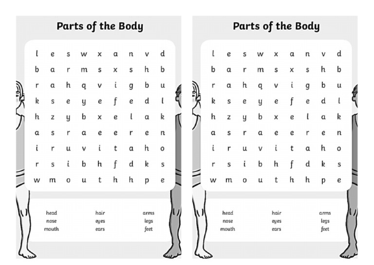 Body Word Search | PDF