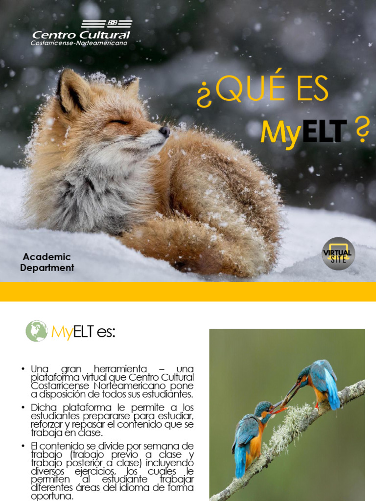 MyELT Academic Dept Manual | PDF | Informática | Software