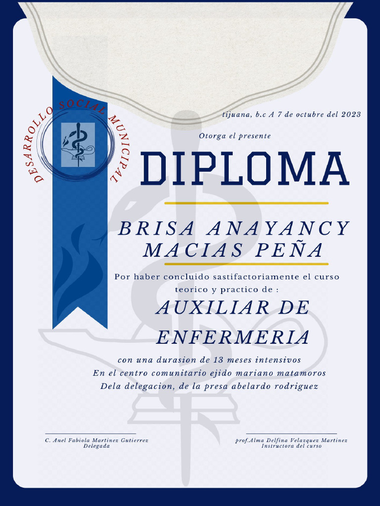 Diploma 2 | PDF