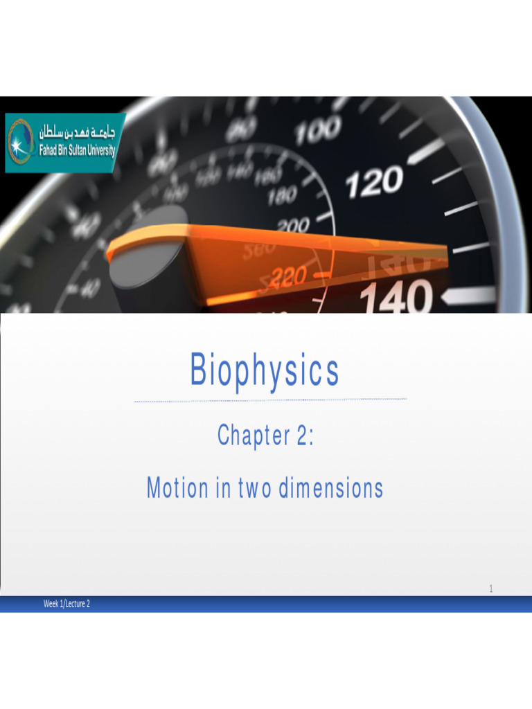 Chapter 2 | PDF | Euclidean Vector | Velocity