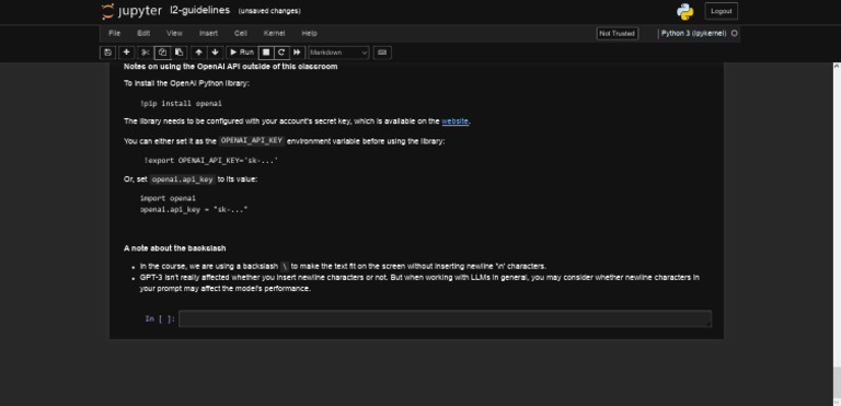 L2-Guidelines - Jupyter Notebook | PDF