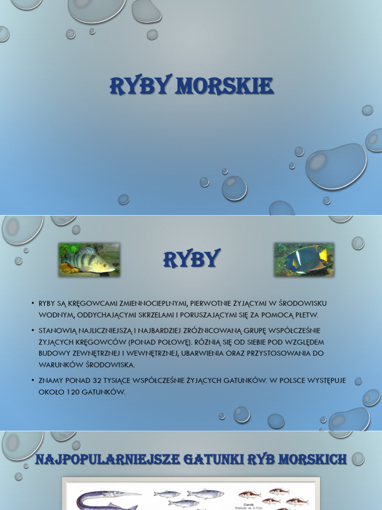 Ryby morskie | PDF