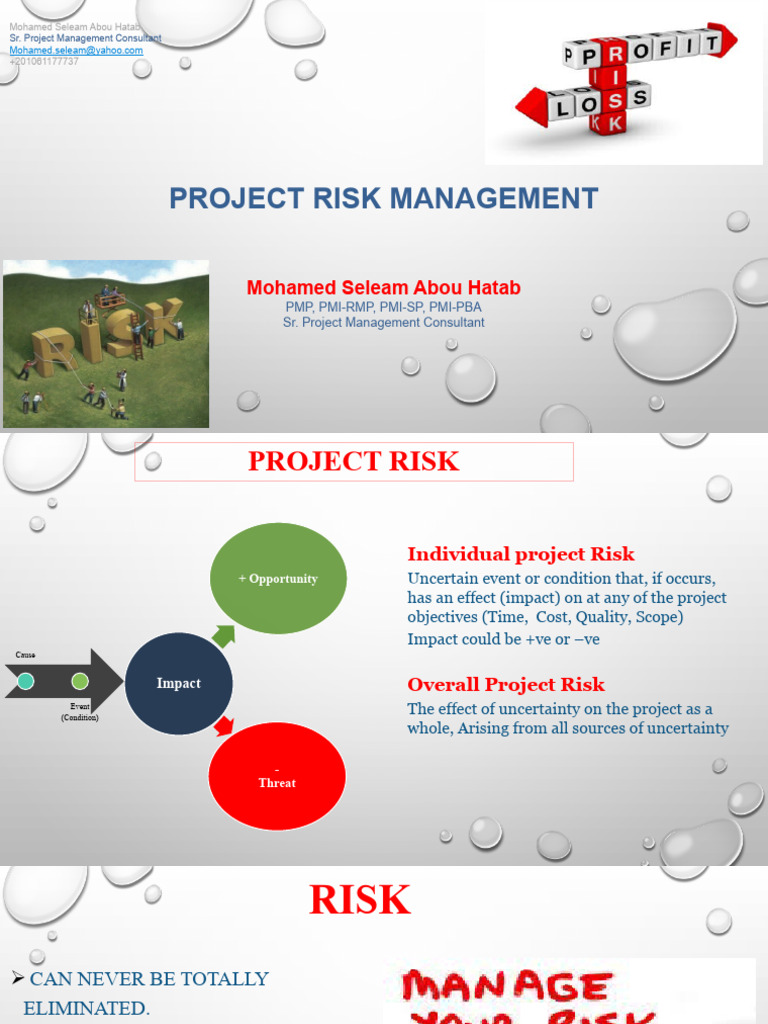 8. Project Risk Management | PDF | Risk | Risk Management
