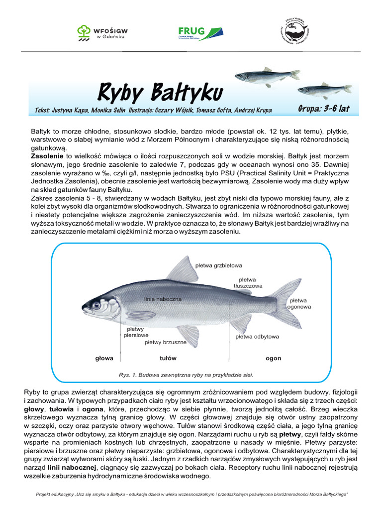 Skrypt Ryby 3 6 Lat | PDF