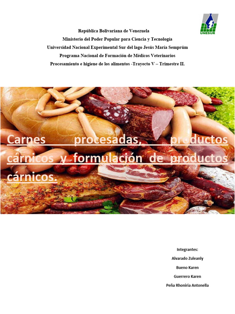Carne Procesada | PDF | Carne | Alimentos