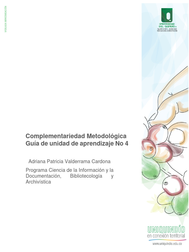 Complementariedad Metodológica en CIDBA | PDF | Investigación social ...