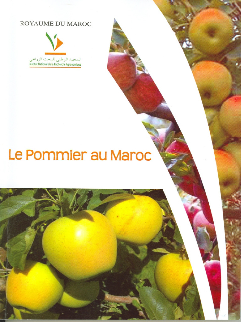 Pommier 11 | PDF