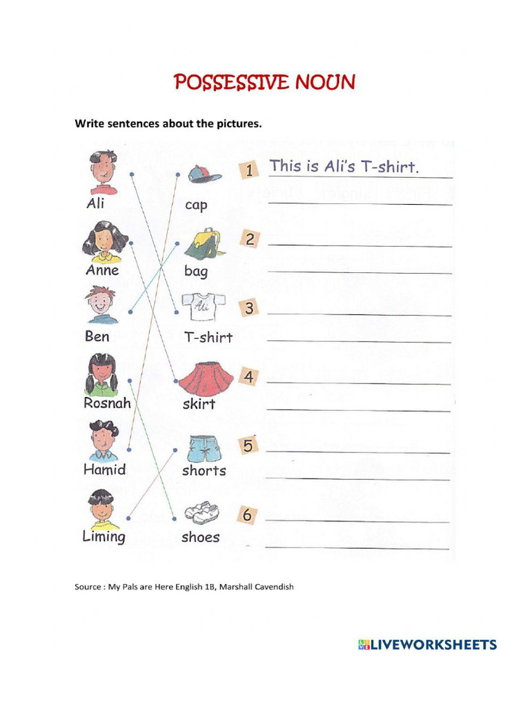 Possessive Noun | PDF