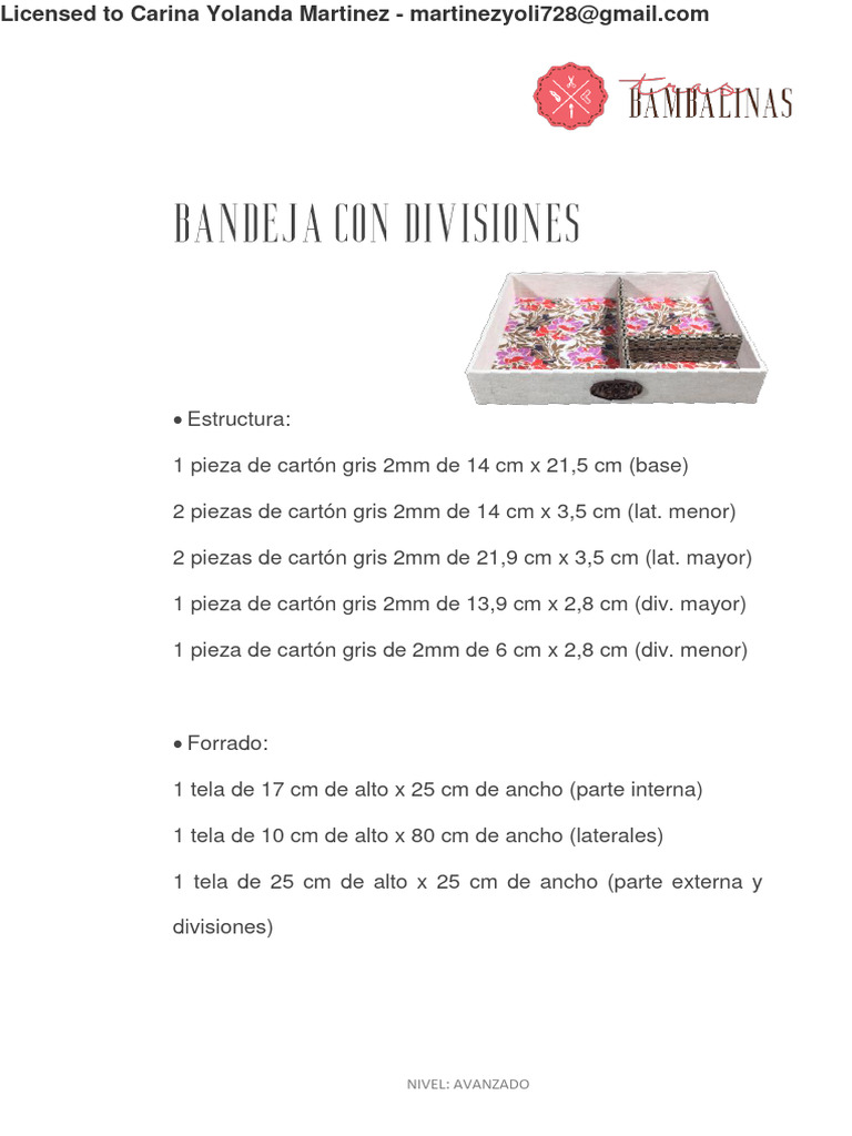 Proyecto Bandeja (NA) v2 | PDF