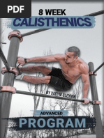 Calisthenics Playbook For Muscle-Ups | PDF