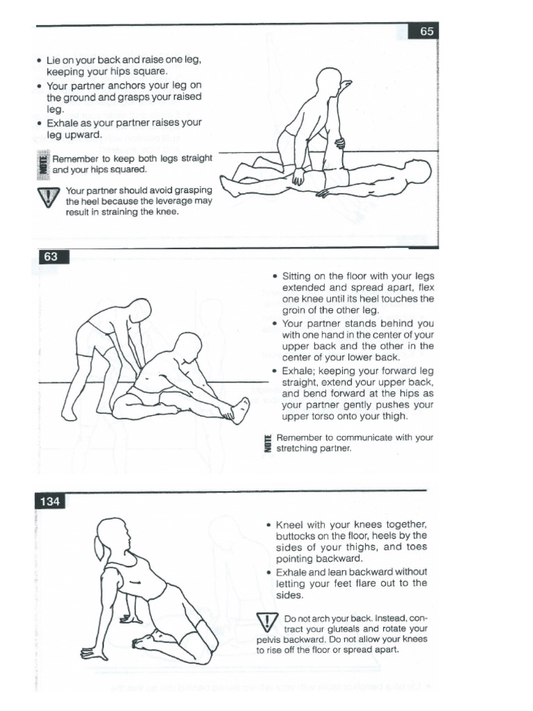 Stretches | PDF