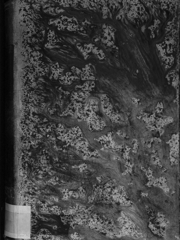 Manual Del Juez | PDF