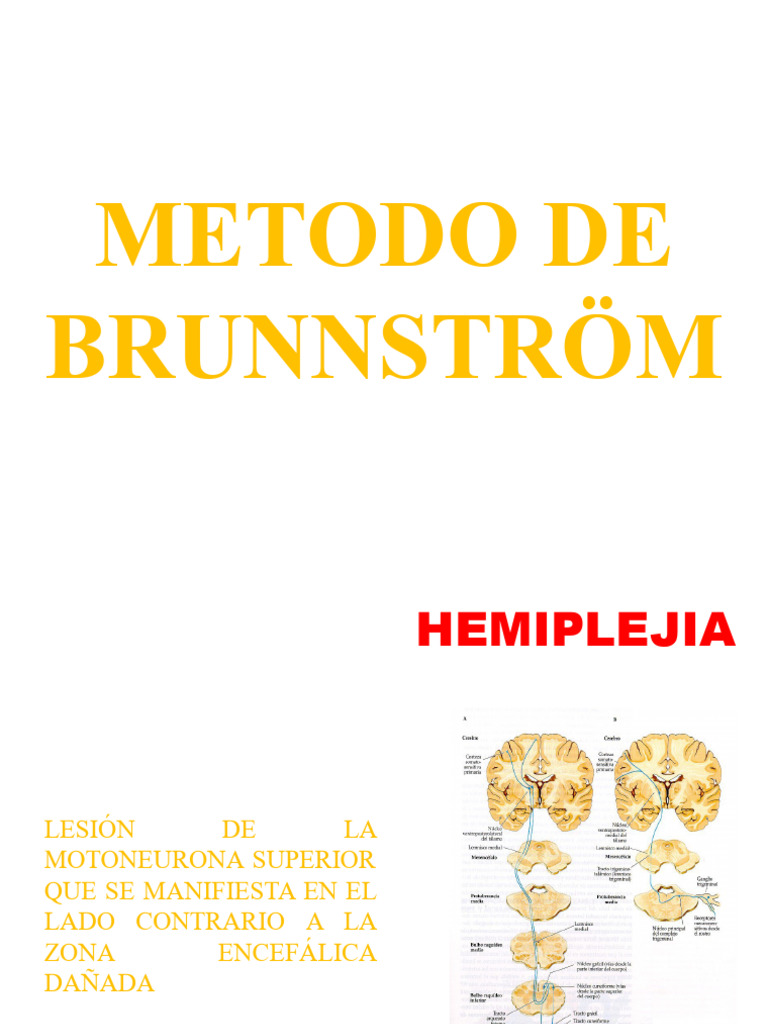 Brunnstrom Introduccion | PDF | Medicina | Neurociencia