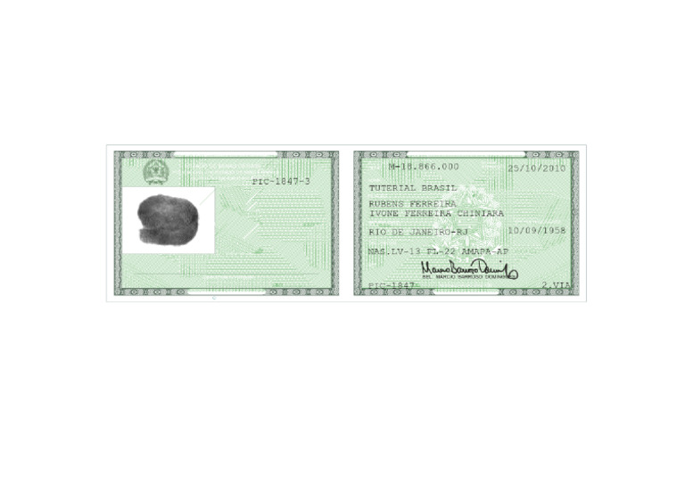 RG de Minas Gerais | PDF