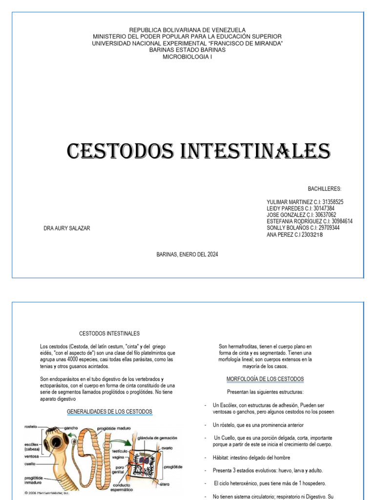 CESTODOS INTESTINALES | PDF | Medicina CLINICA | Causas de la muerte