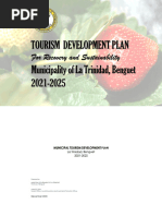 Local Tourism Development Framework | PDF | Tourism | Infrastructure