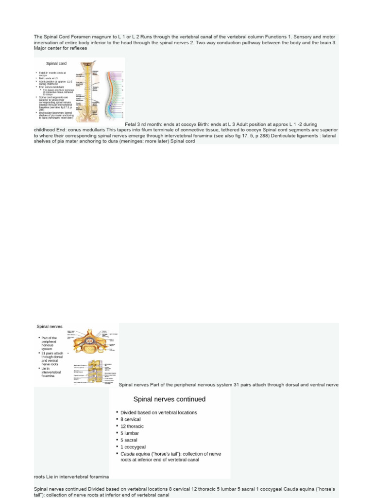 Physio Review Part 1 | PDF | Spinal Cord | Brainstem