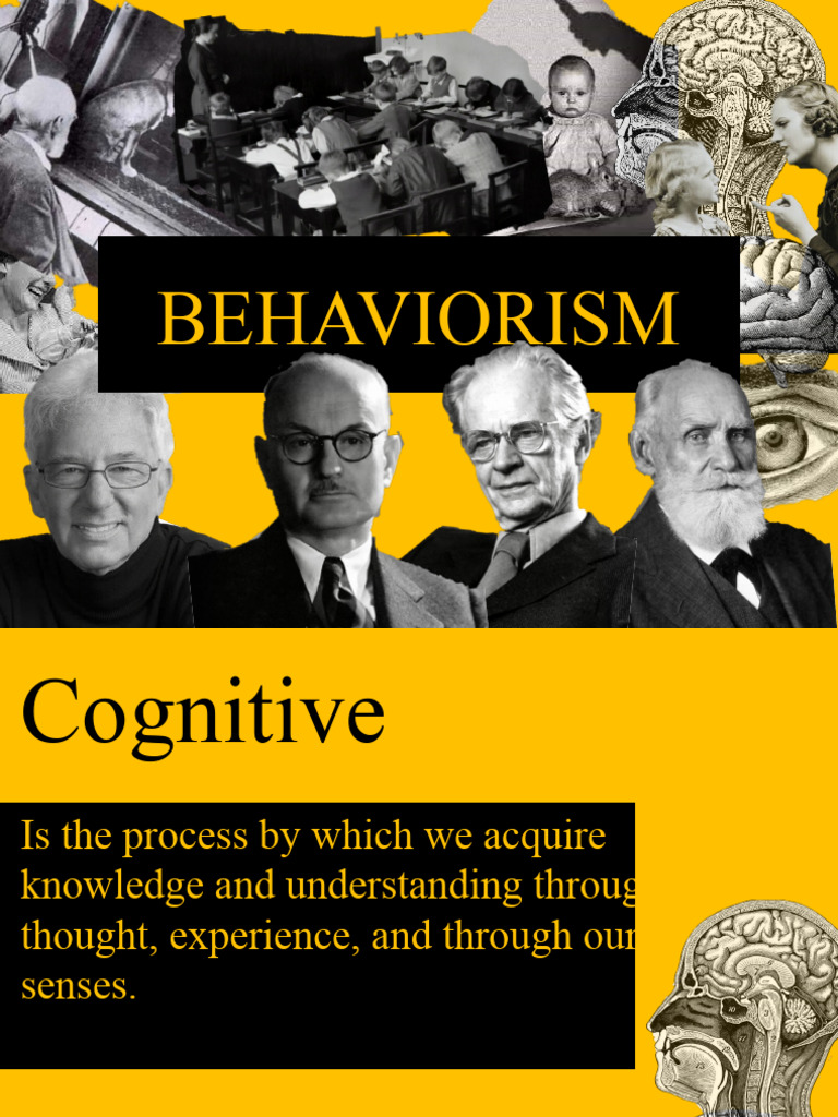Behaviorism | PDF | Classical Conditioning | Reinforcement