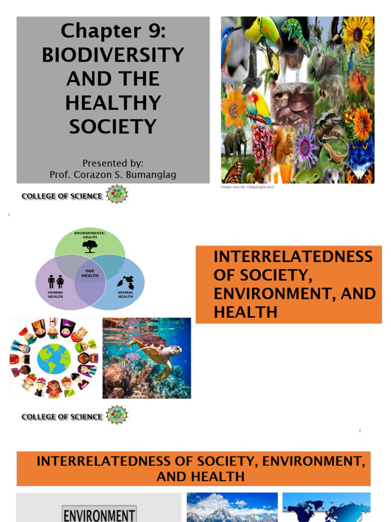 CHAPTER 9-BIODIVERSITY - Part 3 | PDF | Biodiversity | Natural Environment