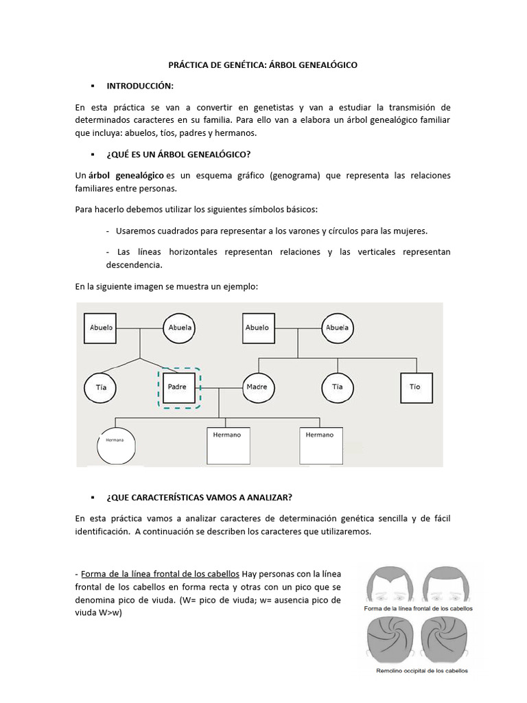 PR Ctica Gen Tica Rbol Geneal Gico | PDF | Genética