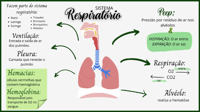 MAPA-SIST.RESPIRATORIO-_1_ | PDF