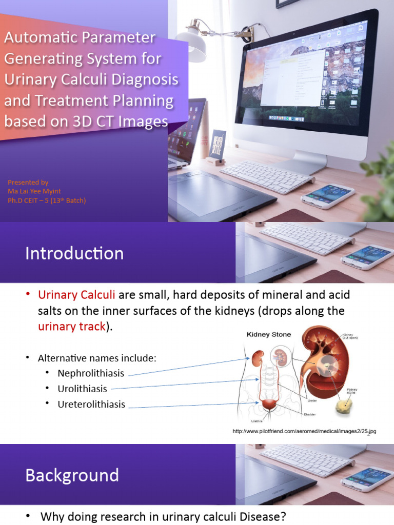 Final | PDF | Image Segmentation | Ct Scan