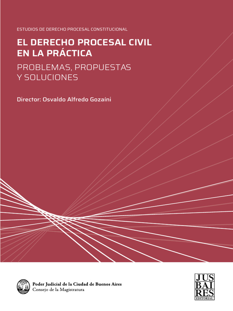 El Derecho Procesal Civil en La Practica | PDF | Ley procesal | Debido al proceso