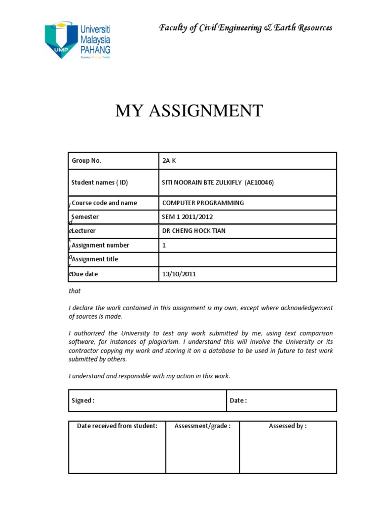 Civil Engineering Assignment Declaration | PDF | Career & Growth