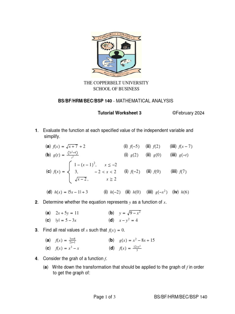 BS 140 Worksheet 3 2024 | PDF | Function (Mathematics) | Algebra