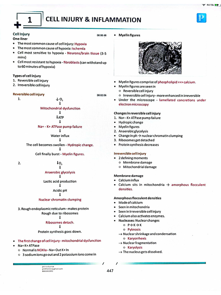 Pathology (DR - Preeti Sharma) @preprronly | PDF