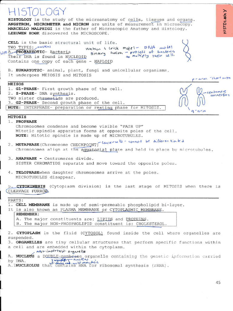 Kenotes - Gen Histo & Gen Patho | PDF | Mitosis | Meiosis
