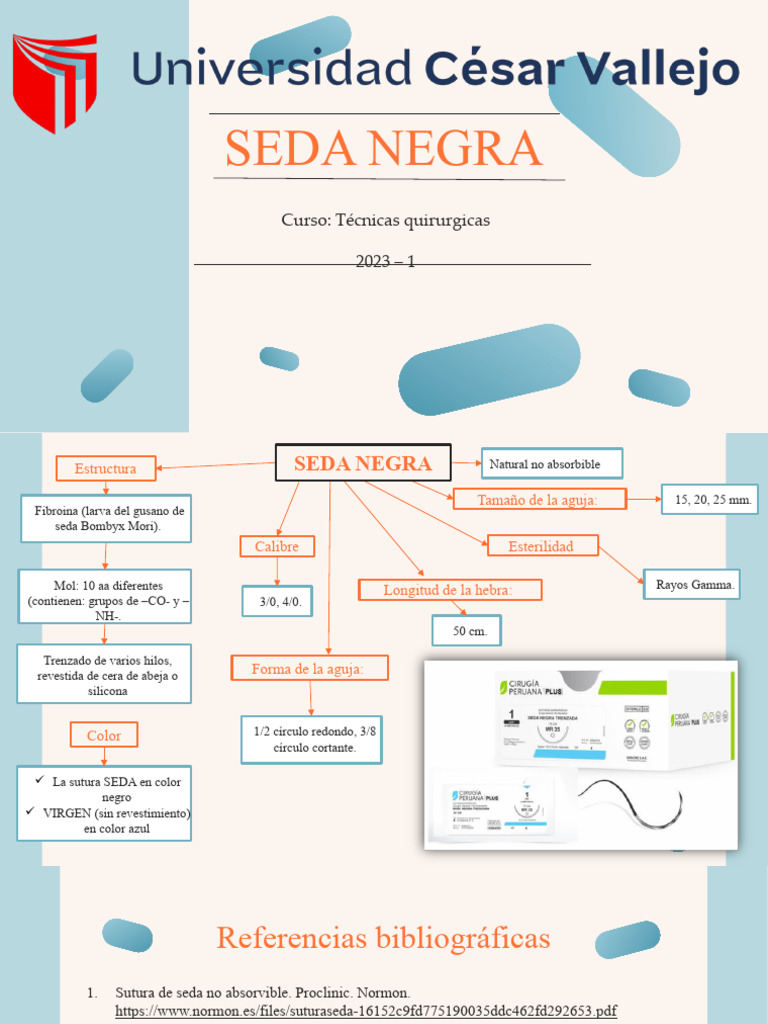 Tecnicas - Seda Negra | PDF