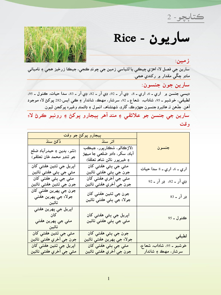 Rice 2 | PDF