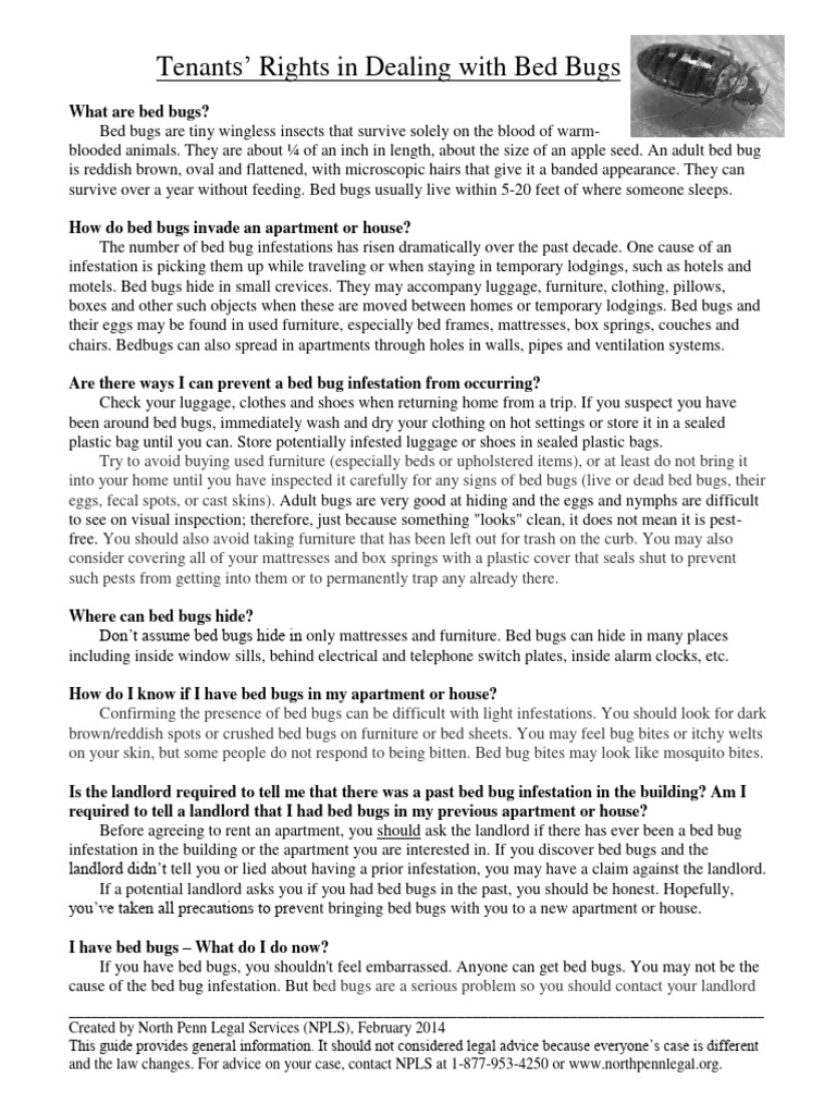 NPLS Bed Bug Flyer | PDF