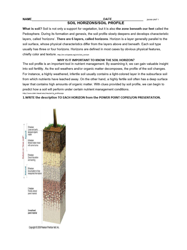 Understanding Soil Horizons and Profiles | PDF