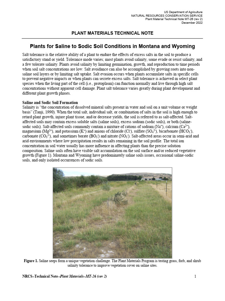 Salinity | PDF | Soil | Salinity