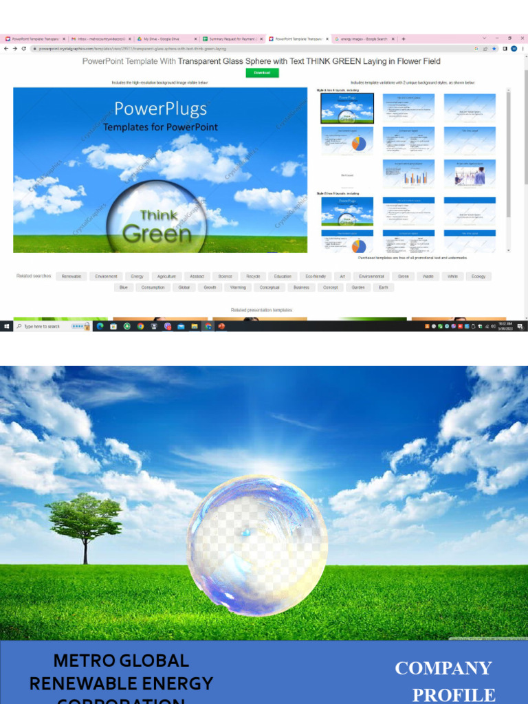 Draft Co. Profile | PDF | Economies | Business