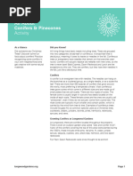 Guijo Tree Propagation Study | PDF | Trees | Plants