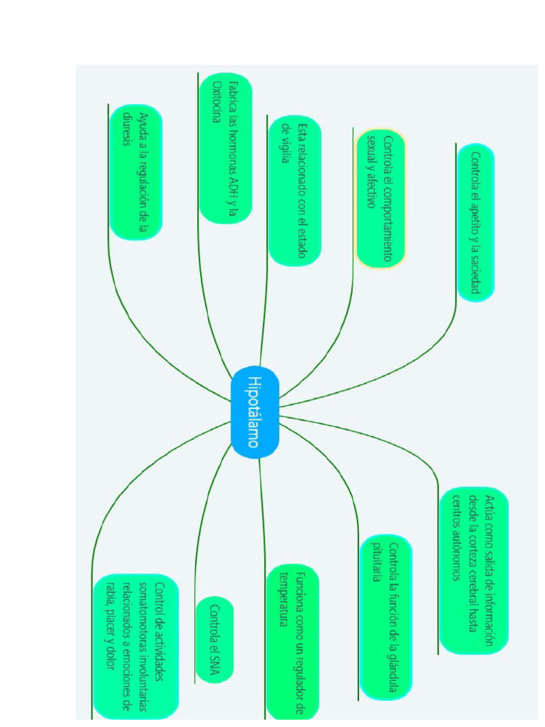 Mapas Mentales | PDF