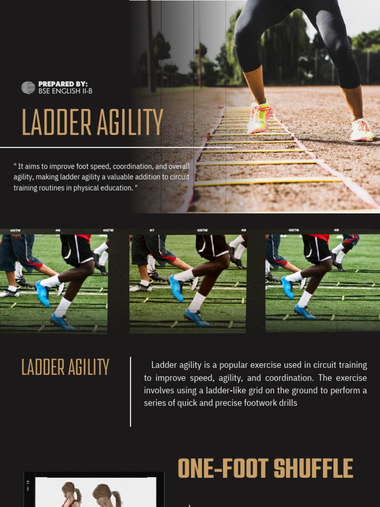 Path Fit 2 Ladder Agility | PDF