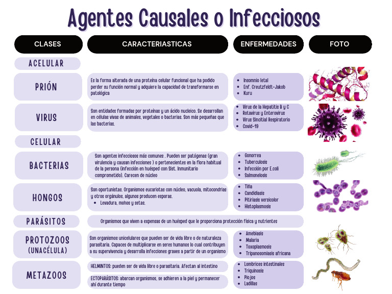Agentes Causales o Infecciosos | PDF | Infección | Patógeno